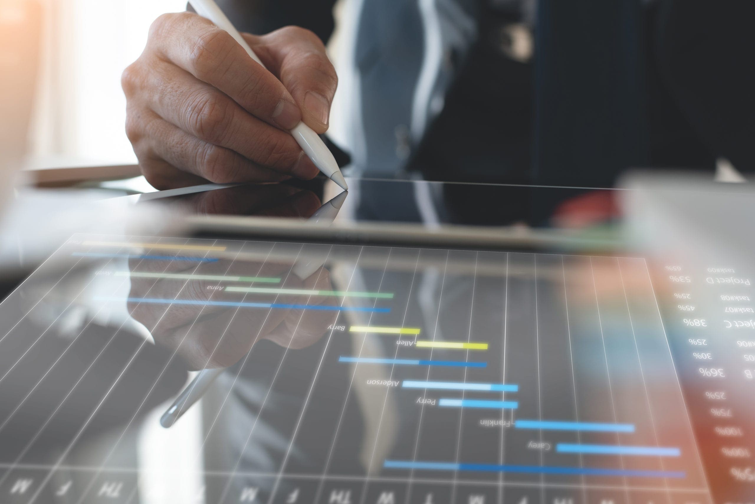 Project Management Services | ERP | PMO Development | Alluvionic